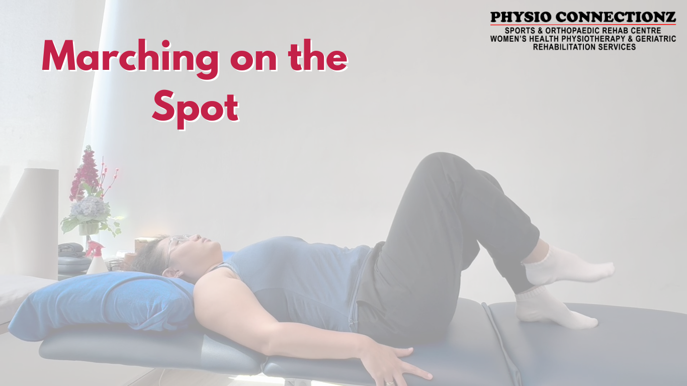 Lower Back Exercises - Physio Connectionz